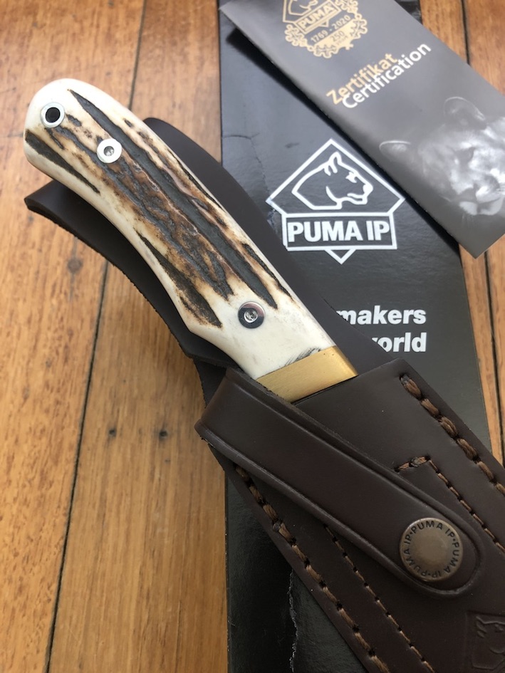 Puma Knife: Puma IP Mountain Stag Hunting Knife