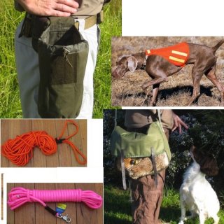 Gun Dog Training Gear